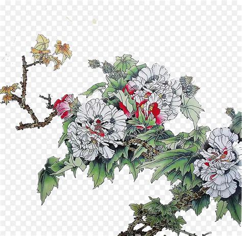 中国画木芙蓉花元素PNG图片素材下载 图片编号7953779 PNG素材网