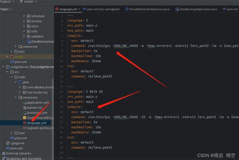 Wsl下配置hoj后端环境hoj 开发 Csdn博客