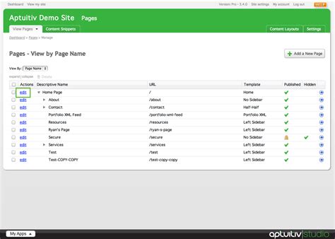 pages branch cms documentation