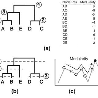 An Illustration Of The Graph Based REgionalization With Clustering And Download Scientific