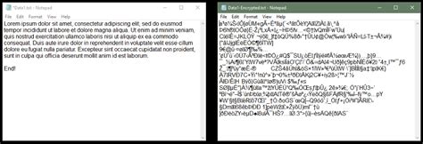 Demystifying Ransomware Techniques Using Net Assemblies 5 Main Techniques Illumio