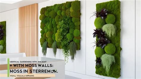 Vertical Gardening With Moss Walls A Modern Twist On Ancient Techniques Ranjeet Natarajan