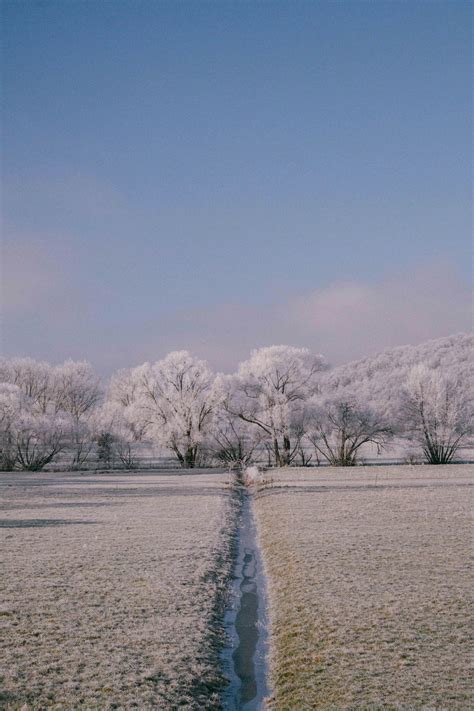 감기 겨울 겨울 추위 겨울의 평온 경치 좋은 길 계절 고립된 고요한 극지 기후 길 농촌의 눈 눈길 눈이 내리는 도로 라이트 룸 맑은 하늘