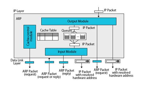 Address Resolution Protocol Learn Components Of ARP Package