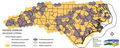 Hooded Warbler Range