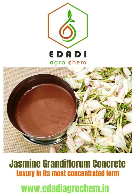 Jasmine Grandiflorum Concrete Aromatherapy And Emotional Well Being Ayyanar Edadi Posted On