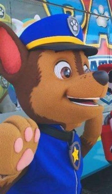 Sky And The Cartoon S Park Paw Patrol 35 45 Sky And The Cartoon S Park Paw Patrol Artofit