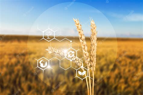 Premium Photo Modern And Smart Agriculture Applications The Field Of A Wheat