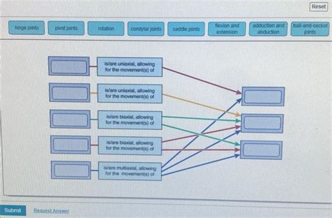Solved Complete The Concept Map To Name And Describe The Chegg Com