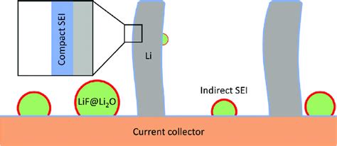 Schematic Showing Compact And Indirect Sei Adaptedreproduced From Ref