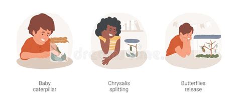 Chrysalis Splitting Stock Illustrations 2 Chrysalis Splitting Stock