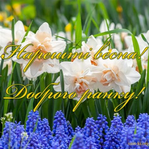 Красиві картинки З першим днем Весни 47 фото