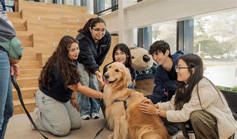New Therapy Comes With A Wet Nose And Wagging Tail California State