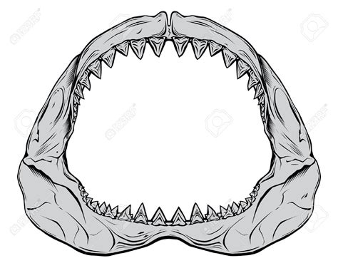 Shark With Mouth Open Drawing Free Download On Clipartmag