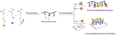 Pendant Isocyanate And Epoxide Containing Copolymers Synthesis