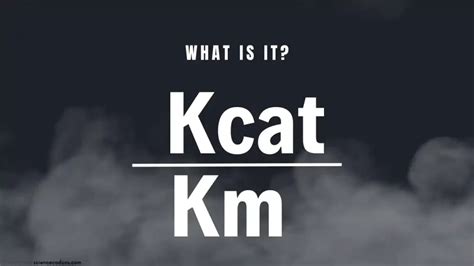What Is Kcat Km In Enzyme Kinetics ScienceCodons