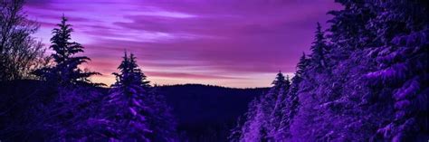 Significado Color Morado Púrpura Y Violeta Por La Psicología
