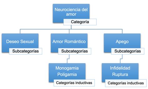 ¿cÓmo Determinar Las CategorÍas De AnÁlisis O Las Variables De Mi InvestigaciÓn Cr Asesores