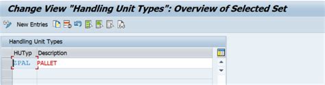 Sap Ewm Cf116 Setting Up Handling Unit Management For The Warehouse