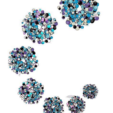 Brochure Header Layout Template Poster Header Variety Vector Poster Header Variety Png And