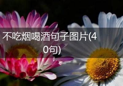 不吃烟喝酒句子图片 40句