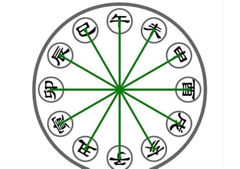 八字基础精华十二地支基础知识