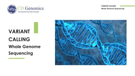 Whole Genome Sequencing Pdf