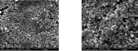 Sem Micrograph For A Ni 0 02 B Ni 0 08 Download Scientific Diagram