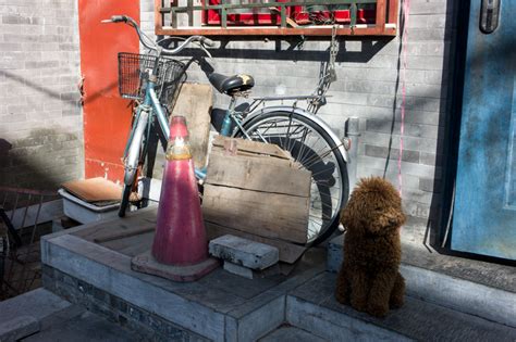Xiaomeng Zhaos Bicycles In Beijing Now Series