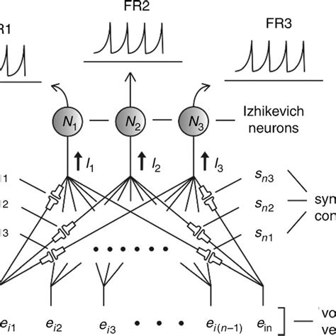 Numerical Processes In One Epoch Of The Training Phase Download Scientific Diagram