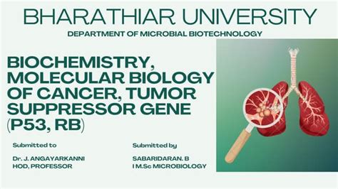Biochemistry Of Cancer Molecular Biology Of Cancer Tumor Suppressor