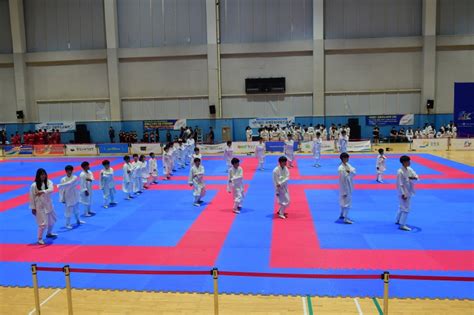 2019세계무술선수권대회 포토갤러리 횡성군 체육회