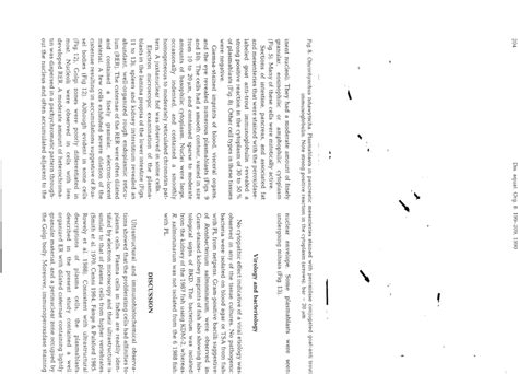Oncorhynchus Tshawytscha Plasmablasts In Pancreatic Mesenteries