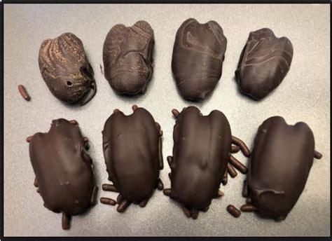 Unknown Facts About Chocolates There Are Cockroaches In Your Chocolate