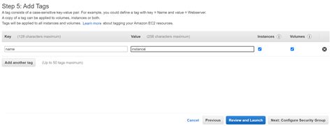 Amazon Ec2 Launch Step By Step With Static Web Page Hosting On Apache