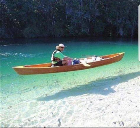 opacity 0 r glitchinthematrix