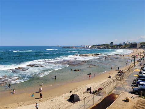 Ldl 콜레스테롤 낮추는 과학적인 방법 6가지