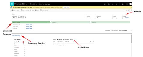 Microsoft Dynamics 365 Crm Case Entity