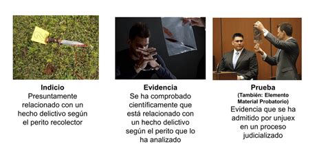 Identificación De Indicios Diferencia Entre Prueba Y Evidencia