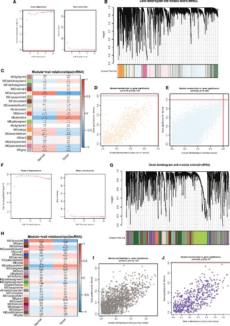 Figure 2 From A Tumor Mutational Burden Derived Immune Computational