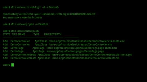 Whats Next For Salesforce Dx Salesforce Devops Blog Blue Canvas