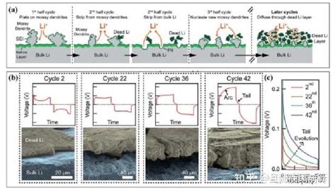 锂金属电池负极失效 知乎