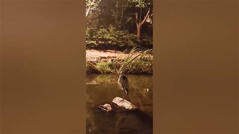 자연은 아름답다 Youtube