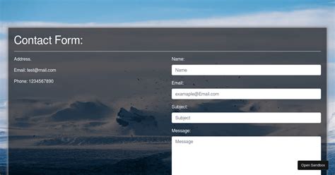 Simple Contact Form Codesandbox