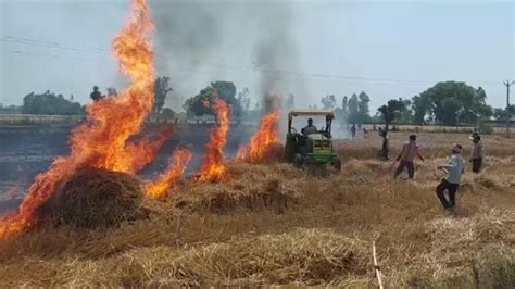 झज्जर के लुहारी गांव में शॉर्ट सर्किट बना तबाही का कारण 20 एकड़ गेहूं की फसल और अवशेषों में लगी आग