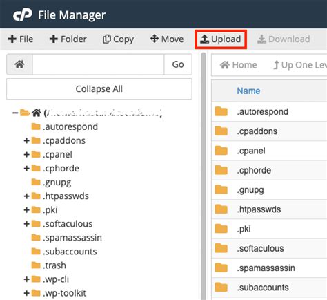 Transfer Files Using Cpanel File Manager To Quickly Upload And Download Files