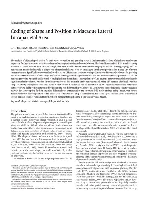 Pdf Coding Of Shape And Position In Macaque Lateral Intraparietal Area