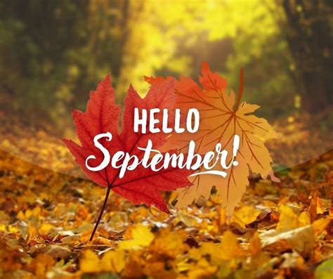 Cygnati On Linkedin Motivation Success Business It Cygnati