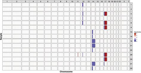Main Recurrent Copy Number Variations Of 15 Cases Of Adenoid Cystic Download Scientific Diagram