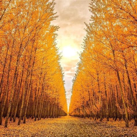 헤어온코리아 ⠀ 💢 뚱원장 매출up 살롱실전펌 특강 💢 ⠀ 💥교육 후 살롱 에서 바로 활용가능한 💥실전 살롱워크 교육 입니다 ⠀ 🎯아주 쉽고 누구나 따라할수 있는 실전펌